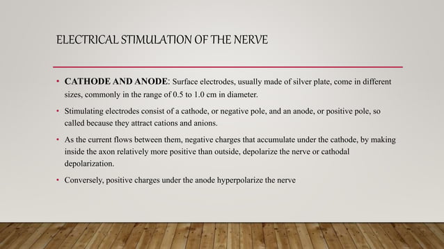 PERIPHERAL NERVES.pptx