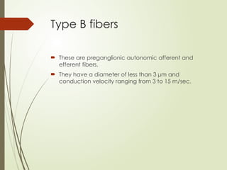 Peripheral Nerves 2024 and their adaptions | PPTX