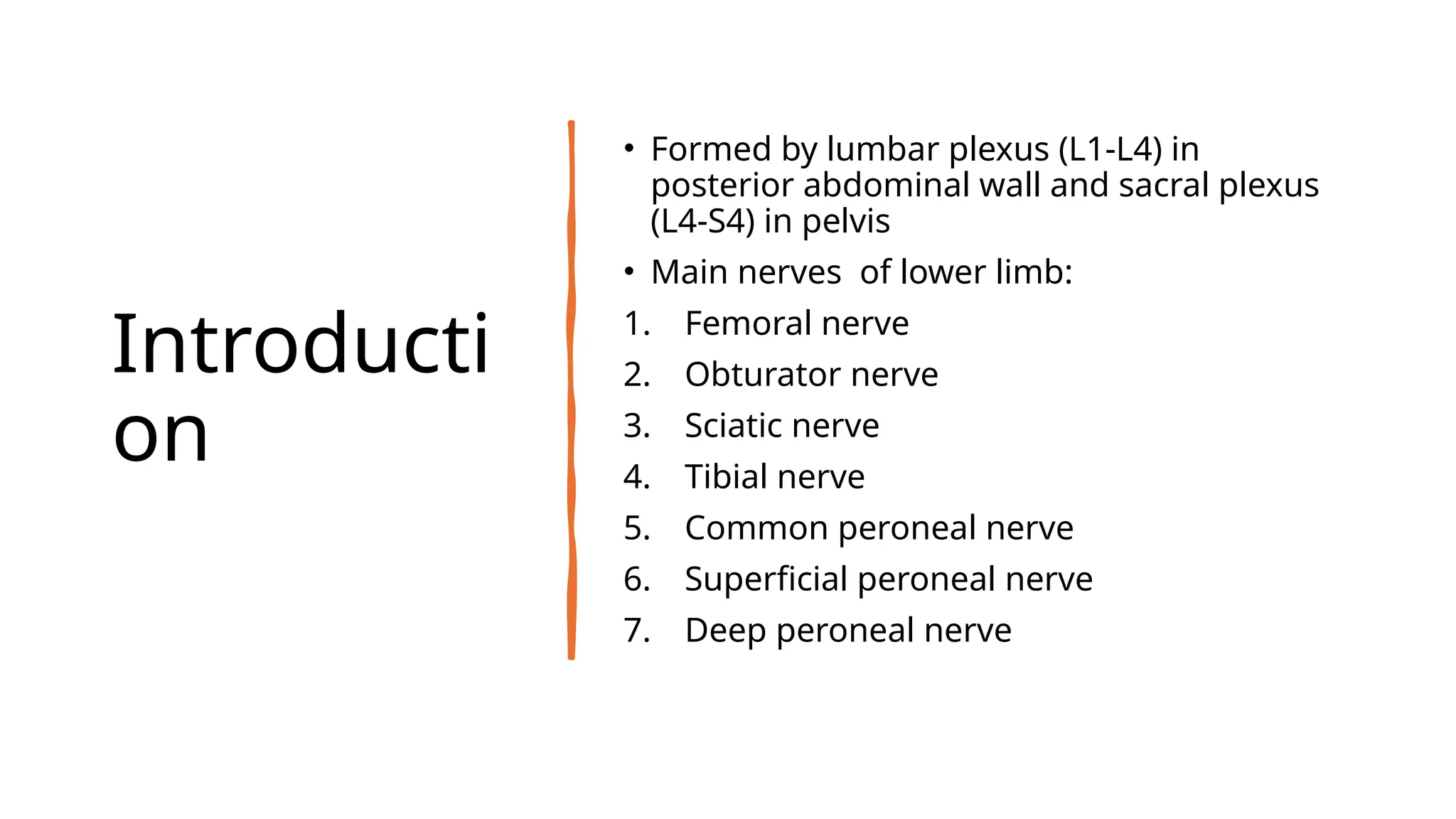 peripheral nerves of lower limb anatomy.pptx