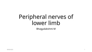 peripheral nerves of lower limb anatomy.pptx