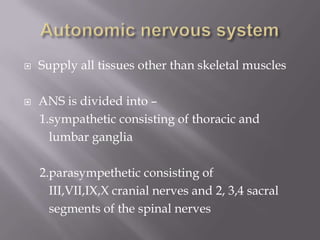 Peripheral nerves &roots lession localisation | PPTX
