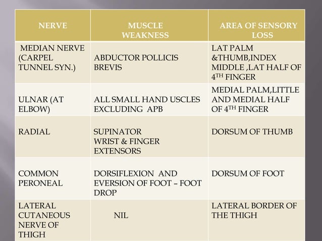 Peripheral nerves &roots lession localisation | PPTX