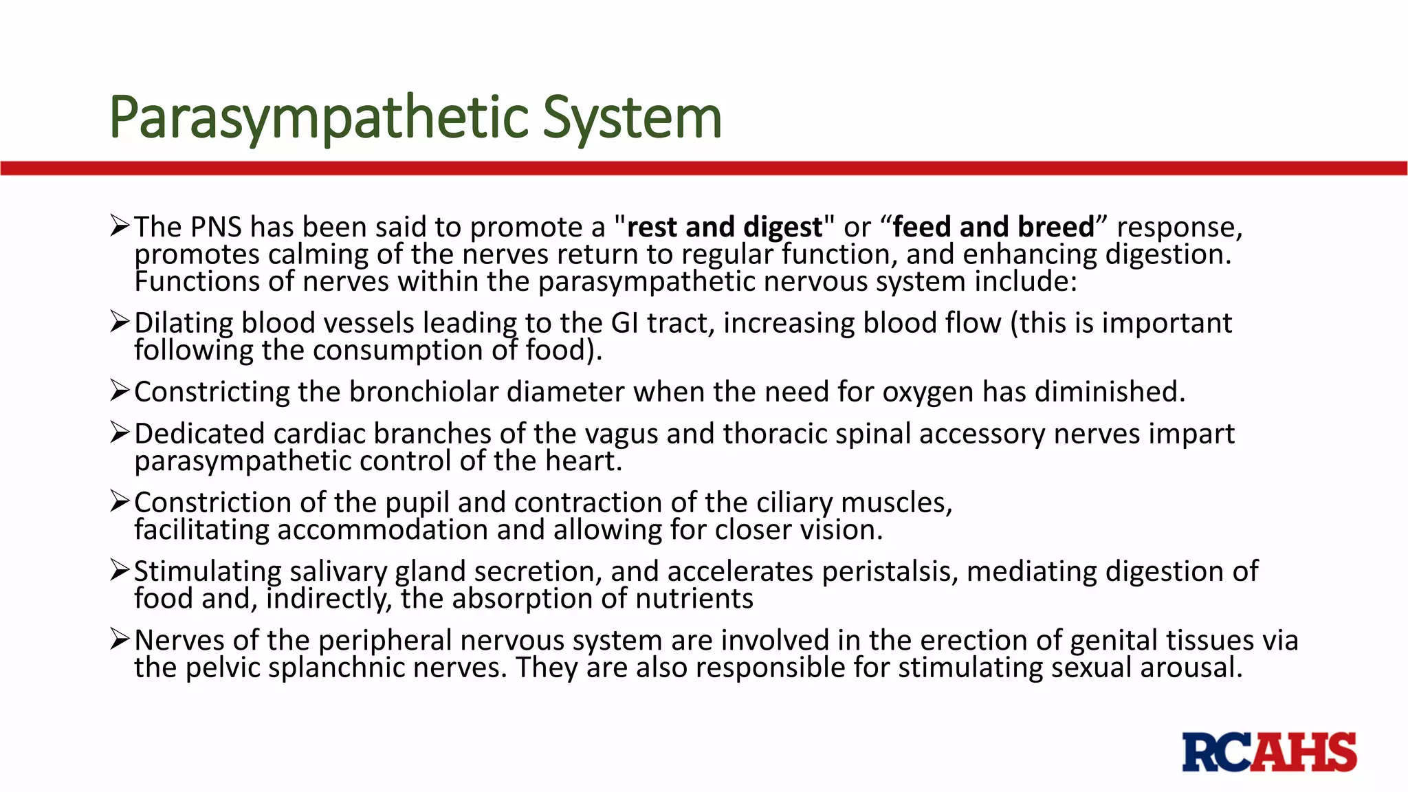 Peripheral nerve system | PPTX