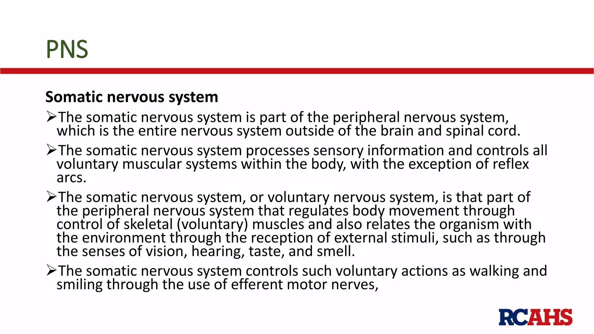 Peripheral nerve system | PPTX