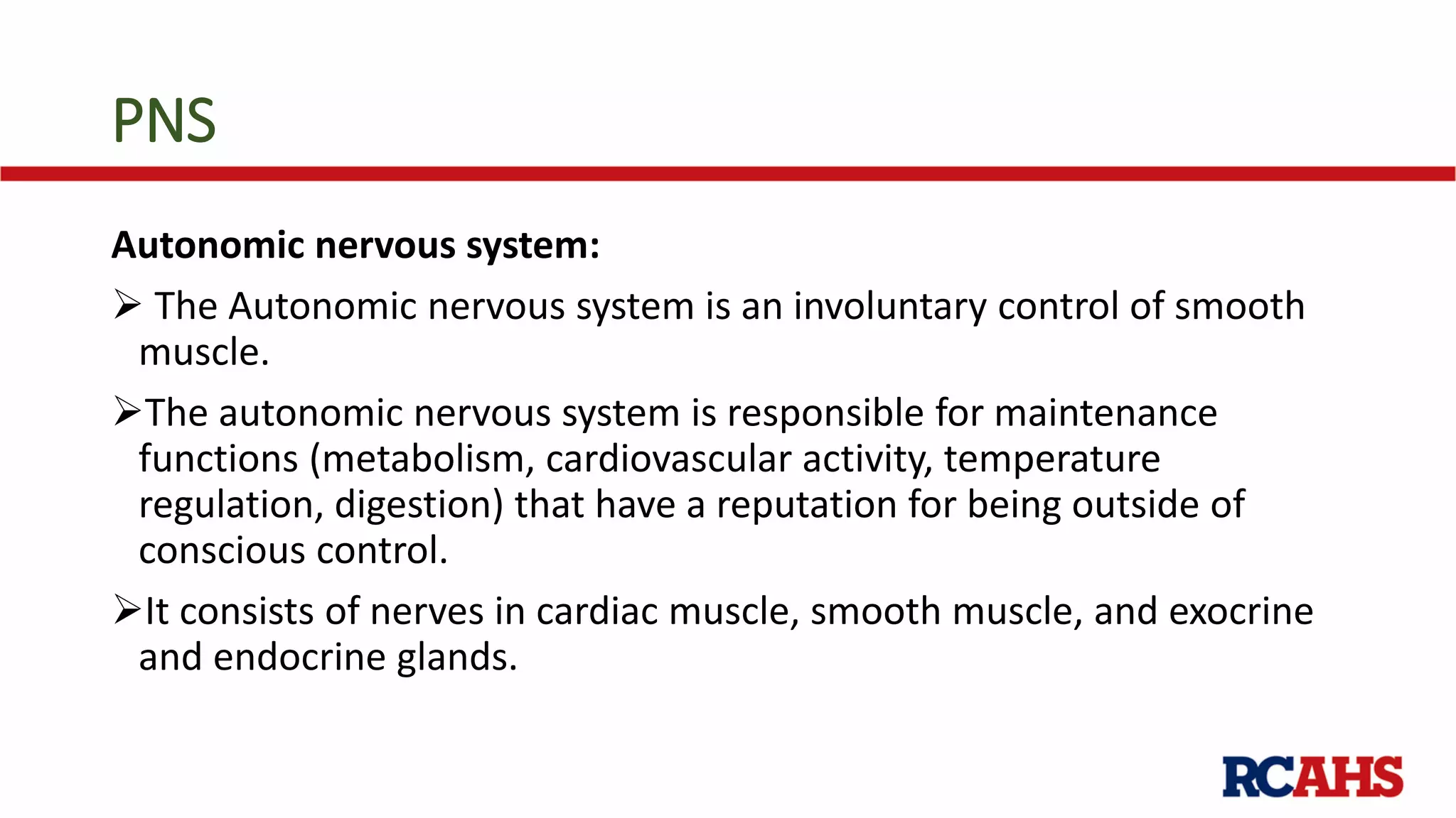Peripheral nerve system | PPTX