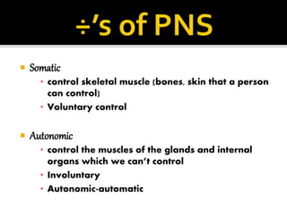 Peripheral nervous system | PPTX