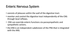 Peripheral Nervous System | PPTX