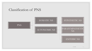 Peripheral nervous system | PPTX