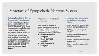Peripheral nervous system | PPTX