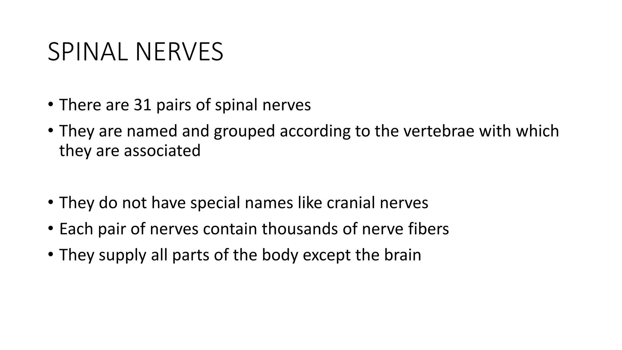 PERIPHERAL NERVOUS SYSTEM.pptx