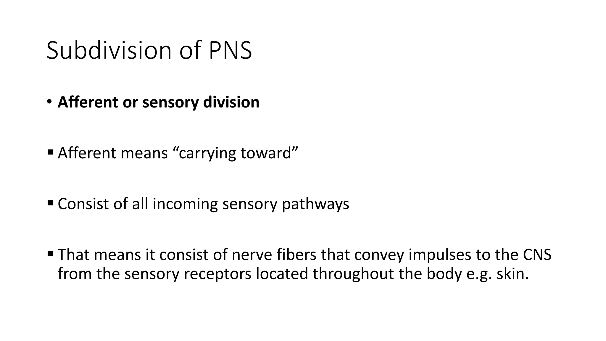PERIPHERAL NERVOUS SYSTEM.pptx