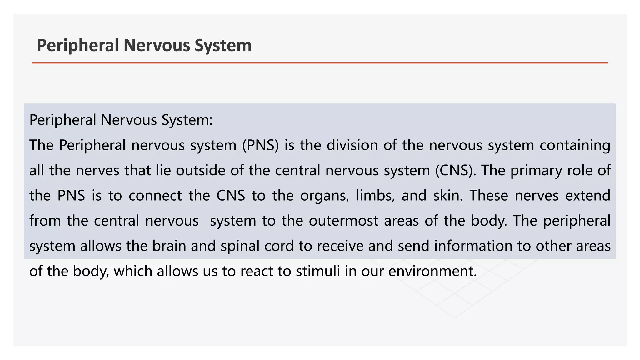 Peripheral Nervous System.pptx