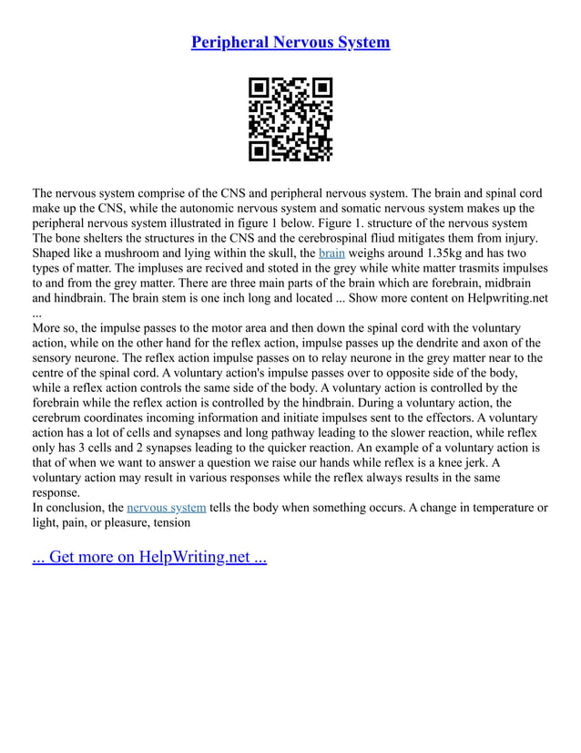Peripheral Nervous System | PDF