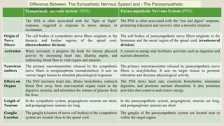 PERIPHERAL NERVOUS SYSTEM.pptx