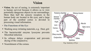 PERIPHERAL NERVOUS SYSTEM.pptx