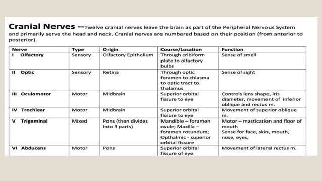 PERIPHERAL NERVOUS SYSTEM.pptx
