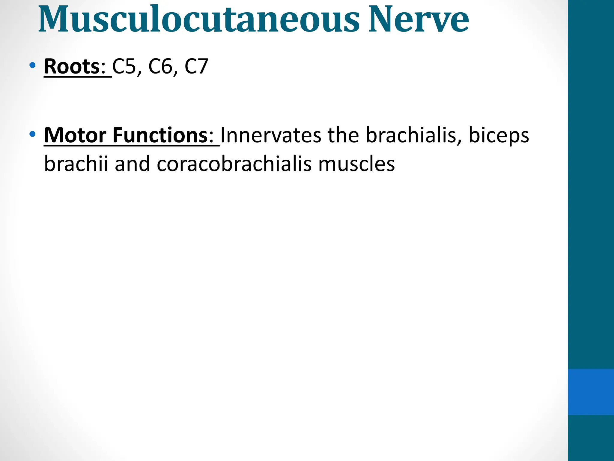Peripheral nervous system.pptx........... | PPTX