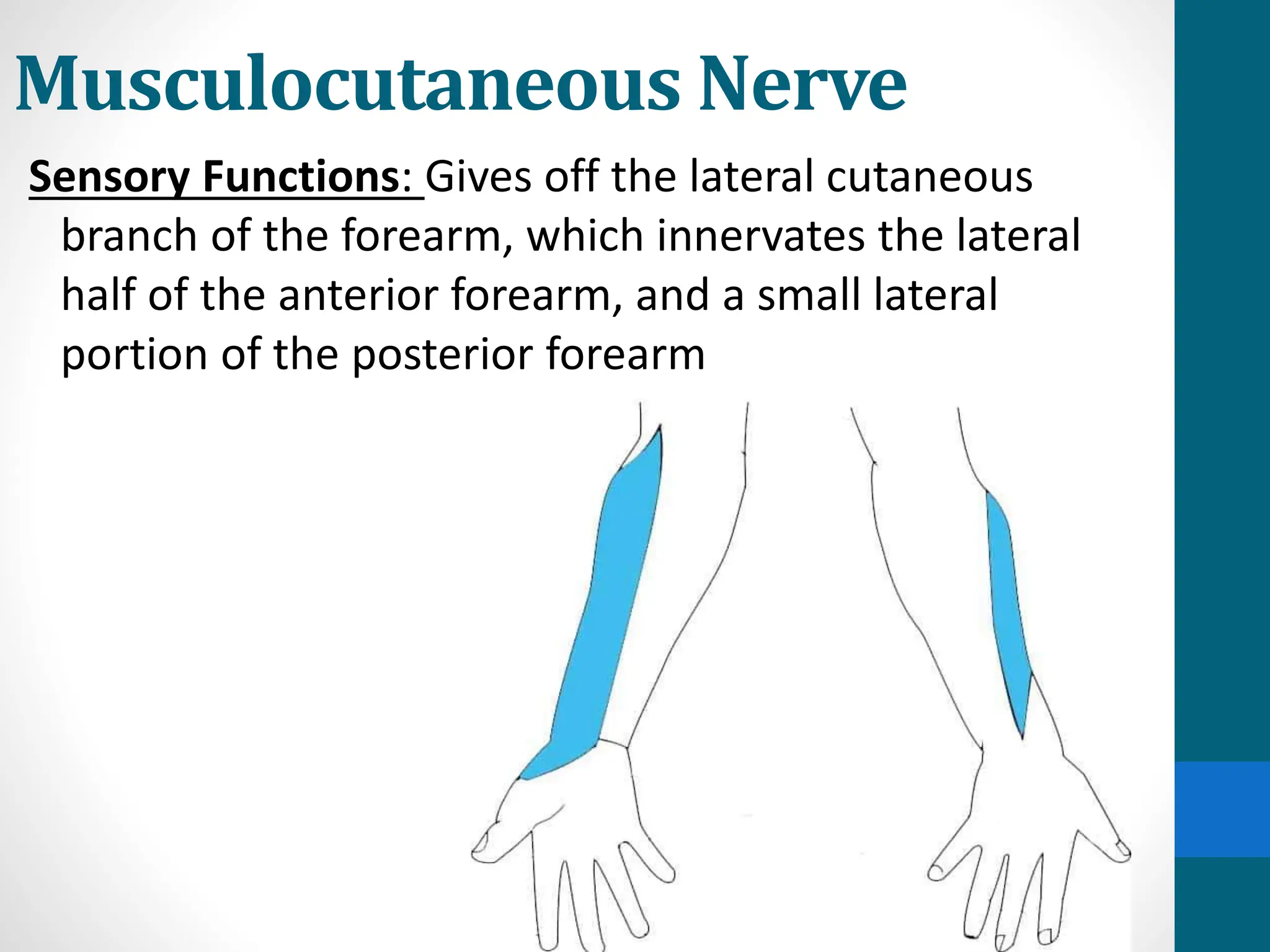 Peripheral nervous system.pptx........... | PPTX