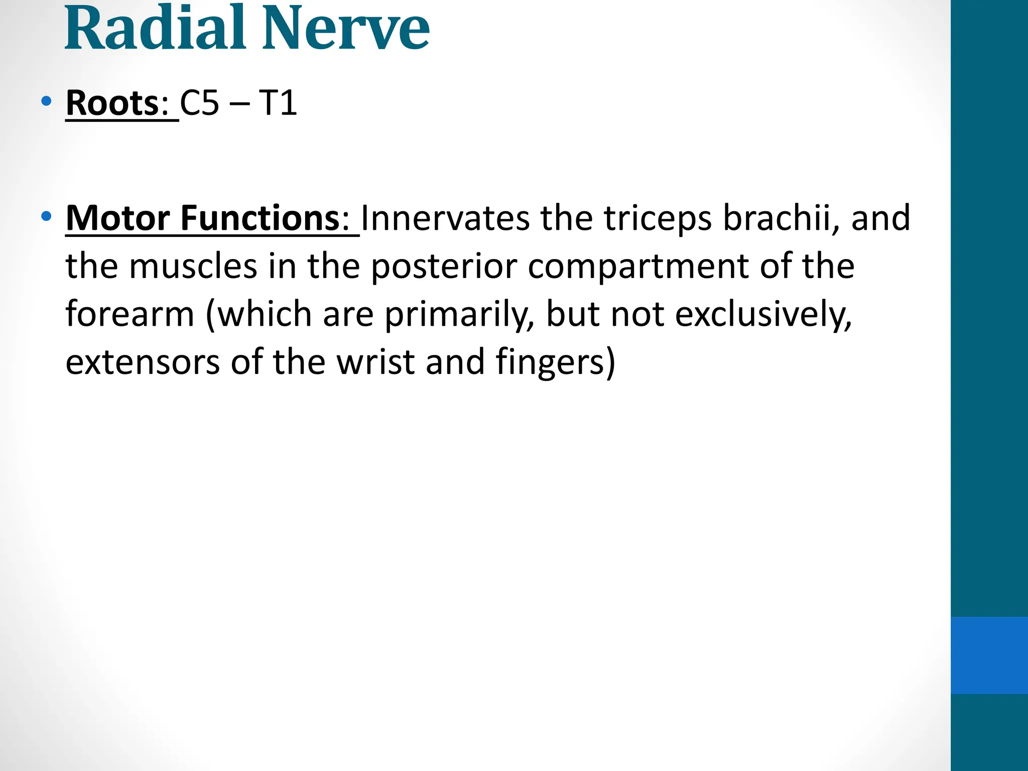 Peripheral nervous system.pptx........... | PPTX