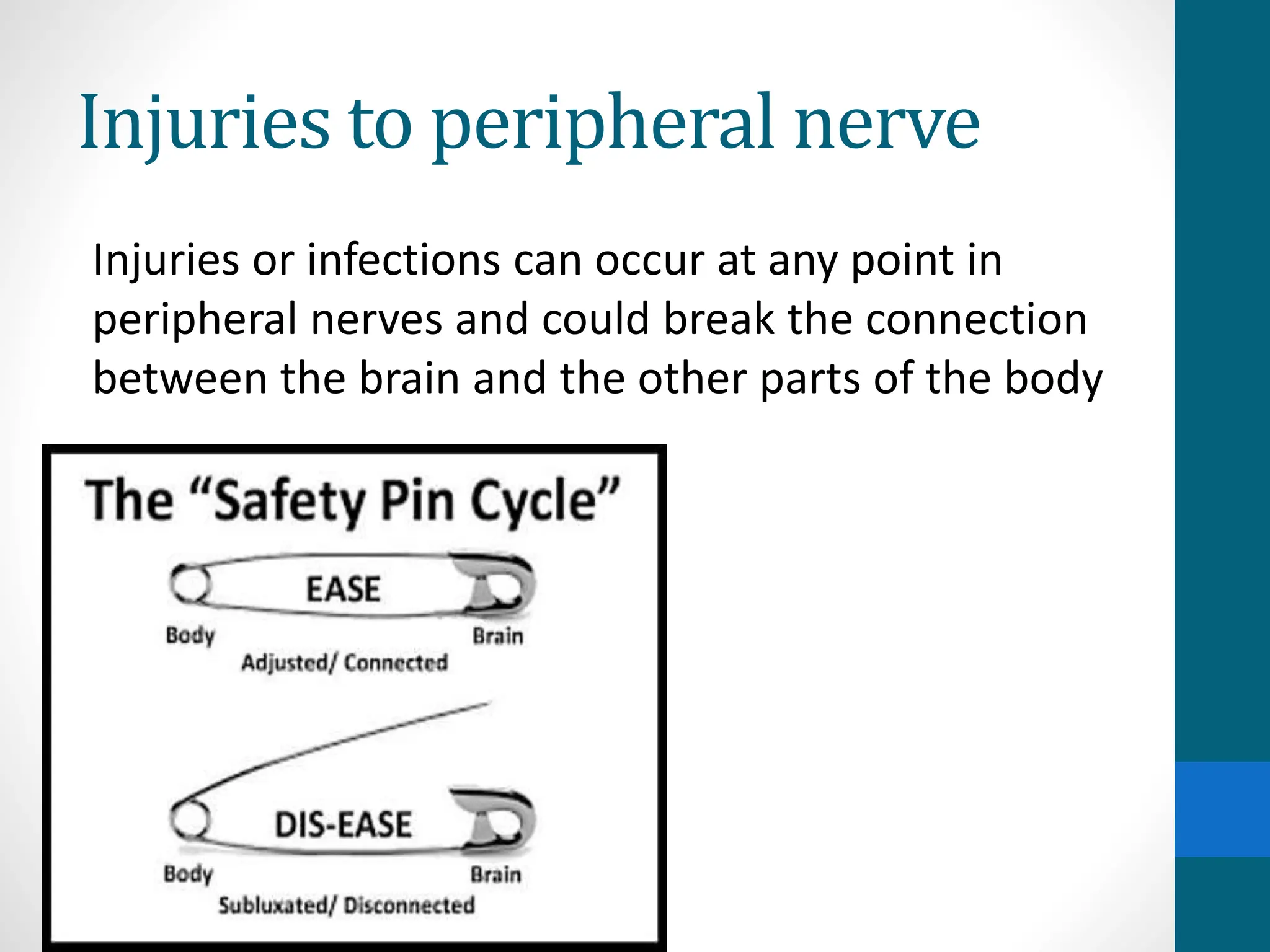 Peripheral nervous system.pptx........... | PPTX