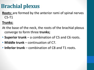 Peripheral nervous system.pptx........... | PPTX
