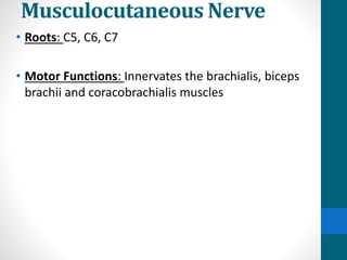 Peripheral nervous system.pptx........... | PPTX