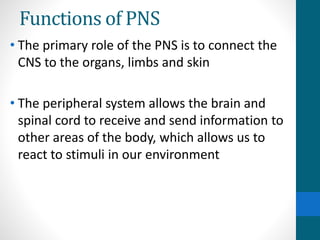 Peripheral nervous system.pptx........... | PPTX