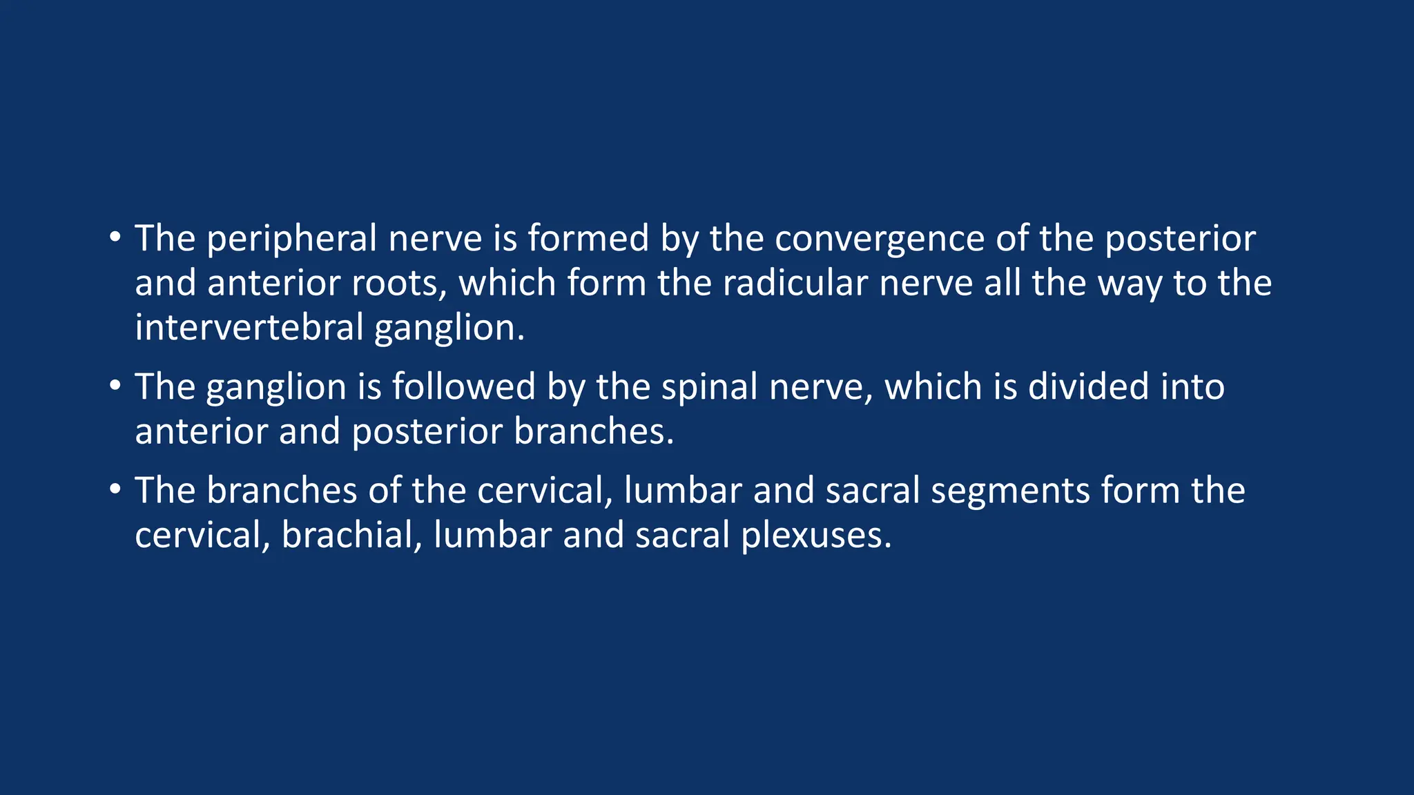 Peripheral nervous system.pptx by a student | PPTX