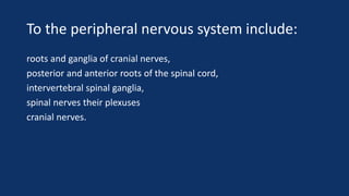 Peripheral nervous system.pptx by a student | PPTX