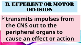 Peripheral Nervous System and parts.pptx