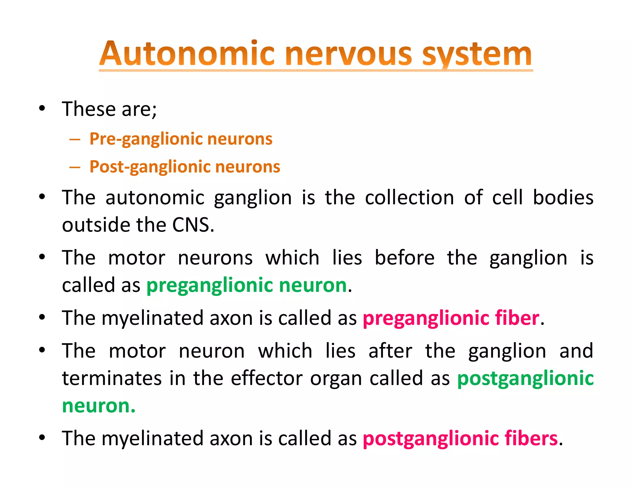 Peripheral Nervous System-PDf DSM.pdf