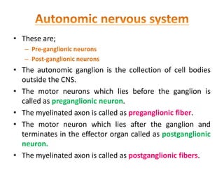 Peripheral Nervous System-PDf DSM.pdf