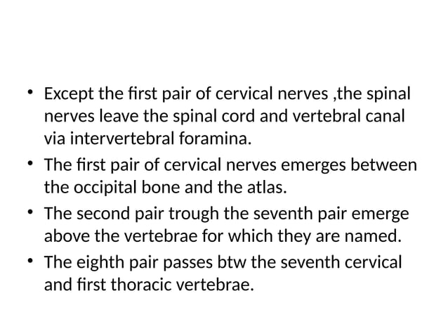 PERIPHERAL NERVOUS SYSTEM 075213.pptx