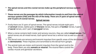 Peripheral Nervous System (nervous system)....pptx
