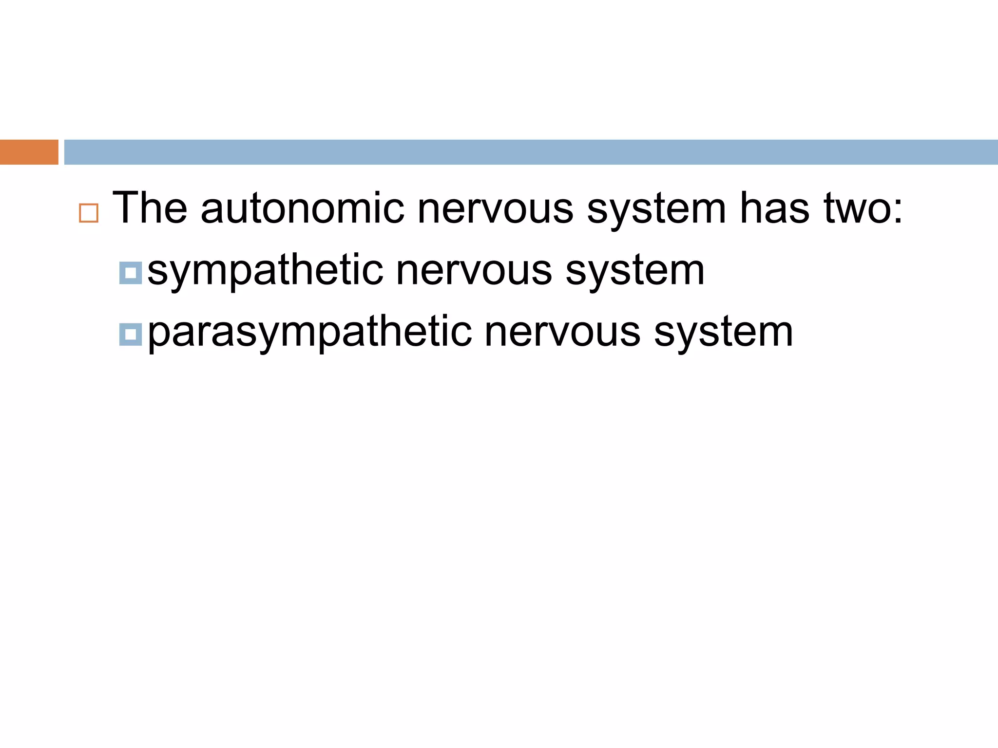 Peripheral Nervous System (PNS) | PPTX