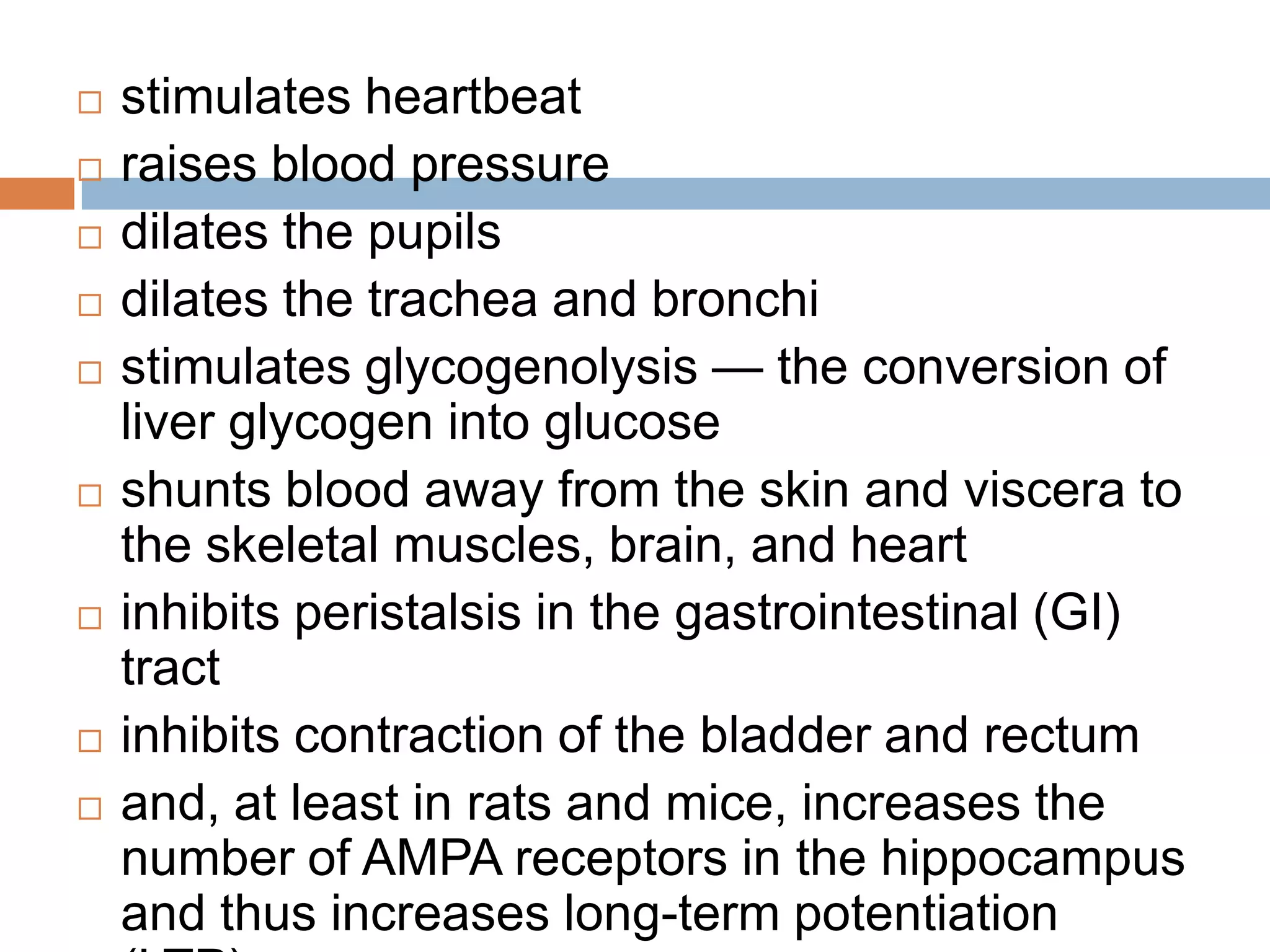 Peripheral Nervous System (PNS) | PPTX