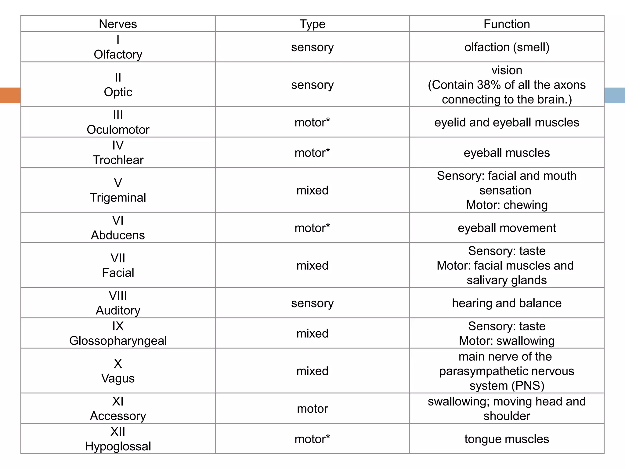 Peripheral Nervous System (PNS) | PPTX