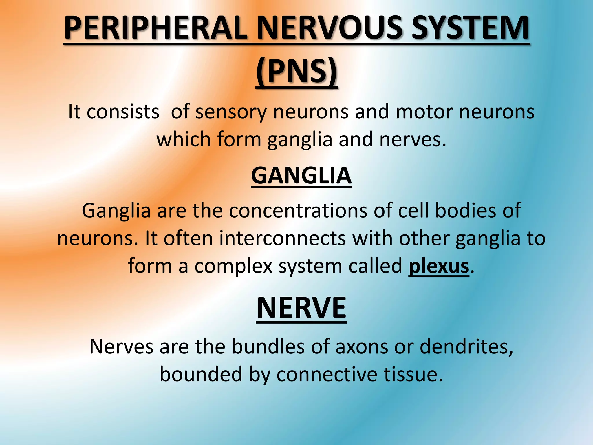 Peripheral nervous system (pns) | PPT