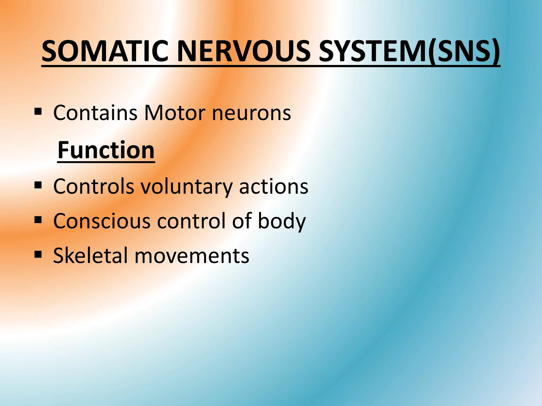 Peripheral nervous system (pns) | PPT