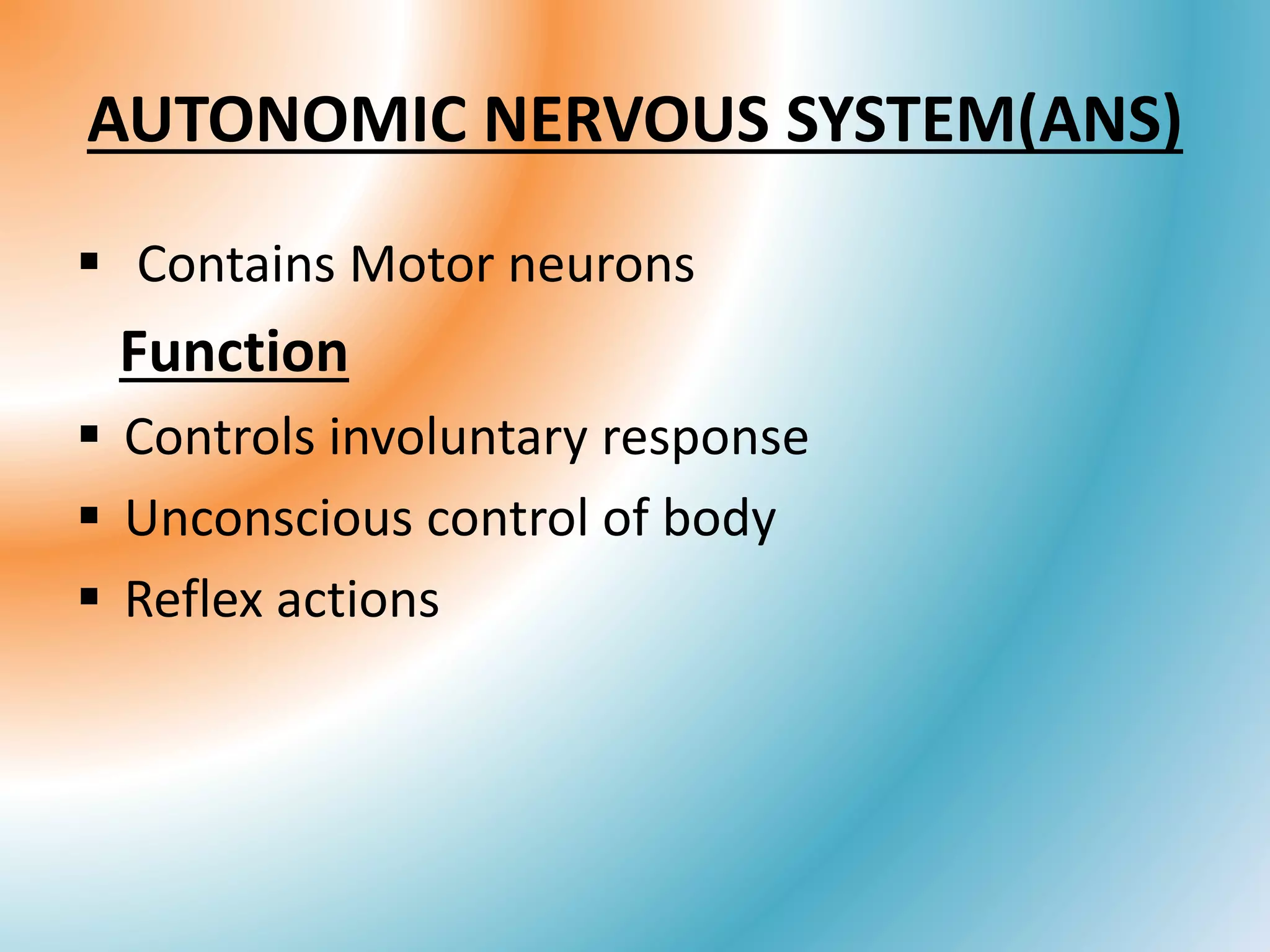 Peripheral nervous system (pns) | PPT