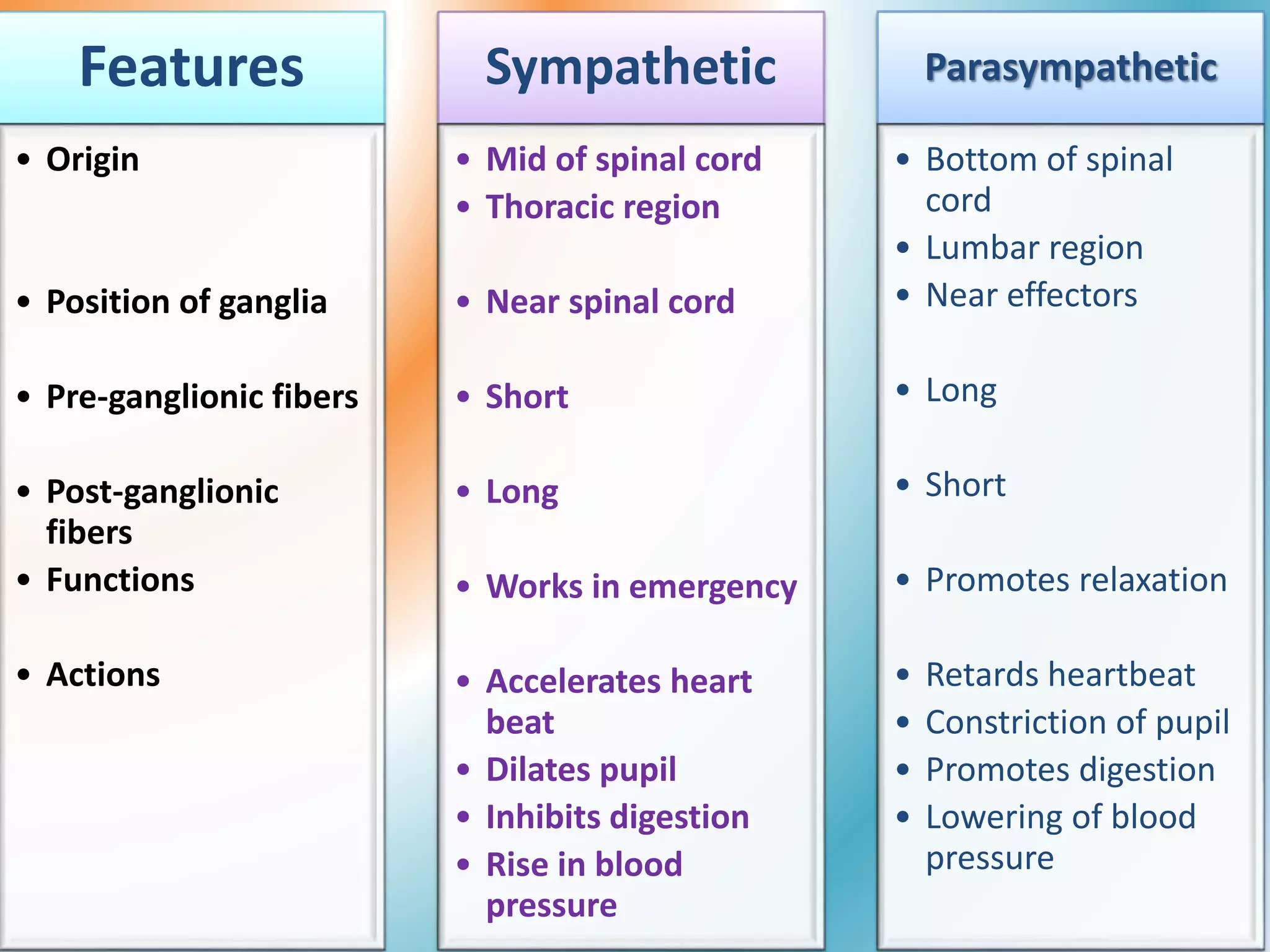 Peripheral nervous system (pns) | PPT