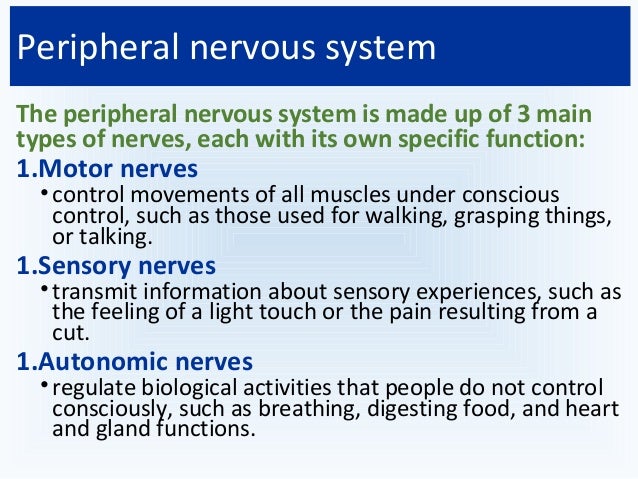 Peripheral Neuritis by Dr. Sookun Rajeev Kumar