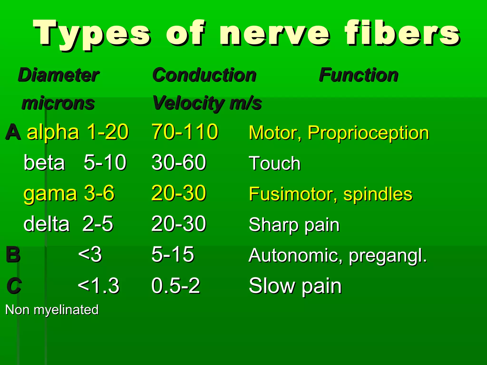Peripheral neuropathy | PPT
