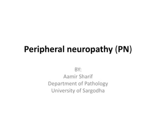 Peripheral neuropathy | PPTX