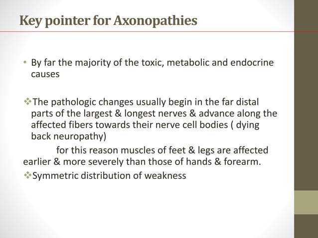 Approach to Peripheral neuropathy | PPTX | Brain and Nervous System ...
