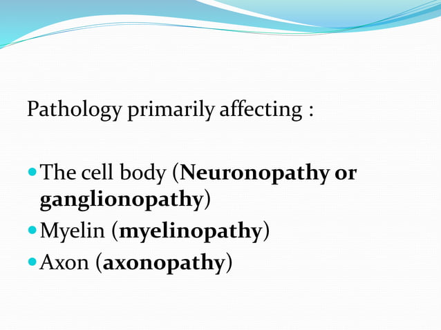 Peripheral neuropathy Anatomy, Physiology and Diseases | PPTX | Brain ...