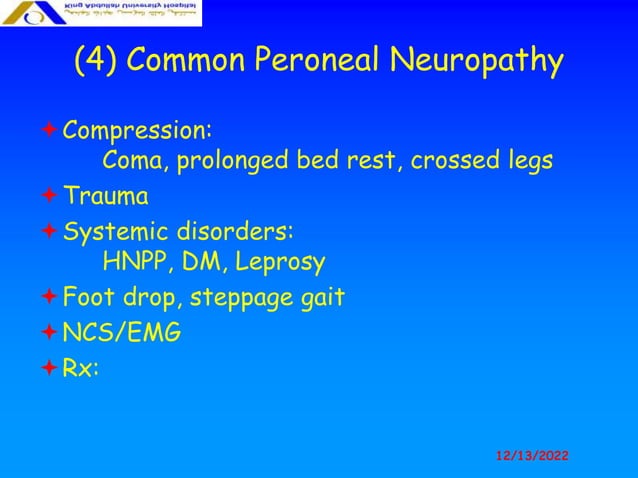 Peripheral_Neuropathy.ppt | Free Download