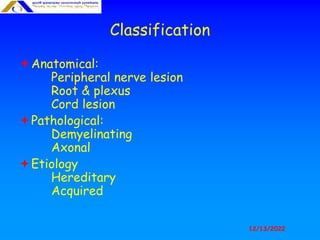 Peripheral_Neuropathy.ppt