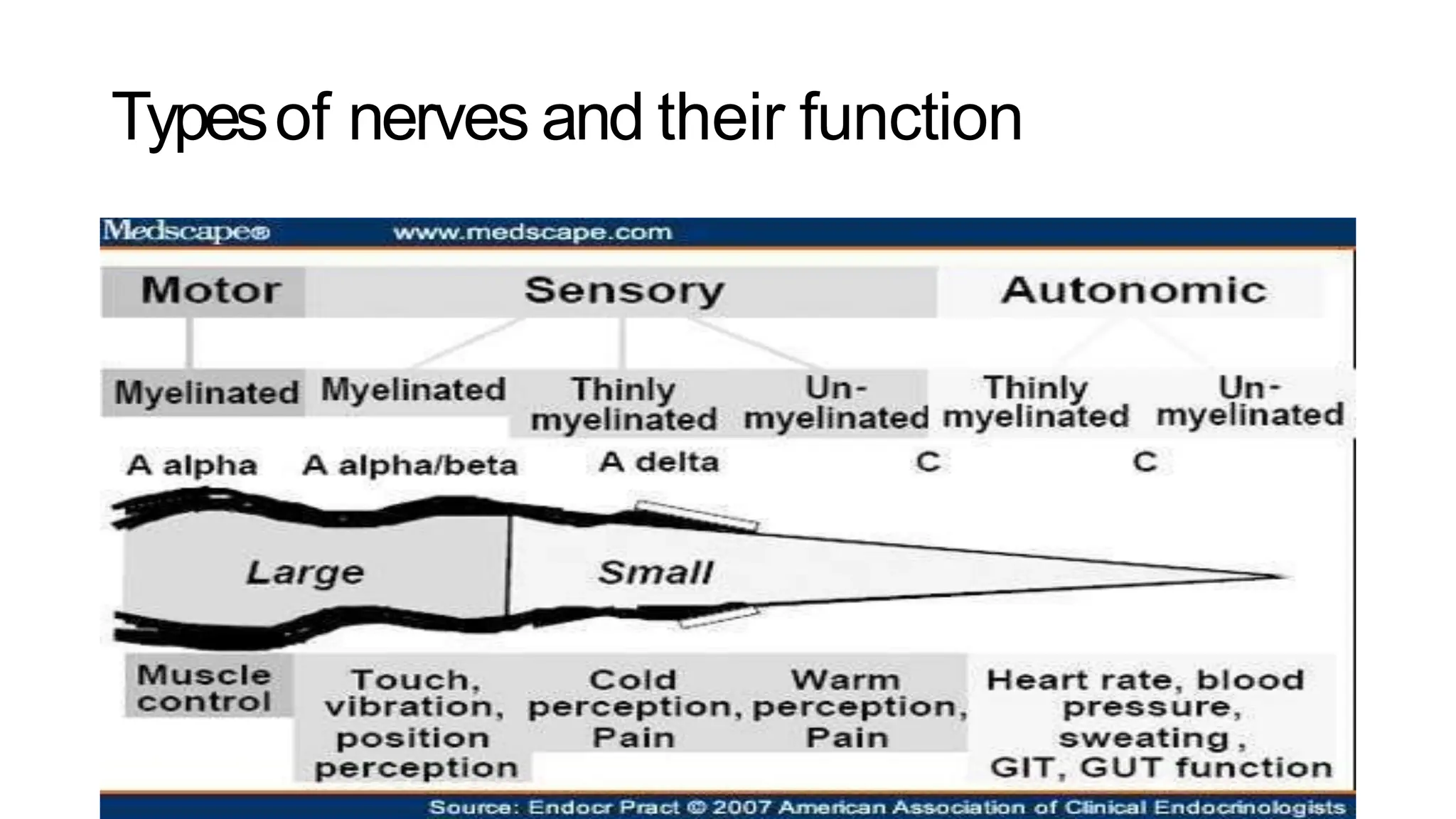 PERIPHERAL NEUROPATHY AND ITS CLASSIFICATION | PPTX