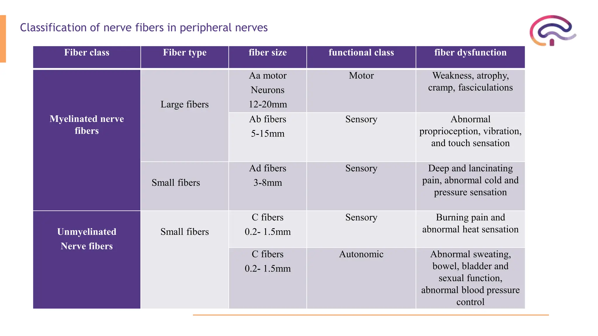 peripheral neuropathy (introduction and Gillian barre syndrome .pptx